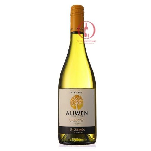 Rượu vang Chile Aliwen Reserva Chardonnay - THE BEST WINE